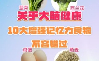 提高记忆力的食物有哪些_吃什么能增强记忆力