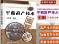 平菇栽培技术_平菇怎么种高产