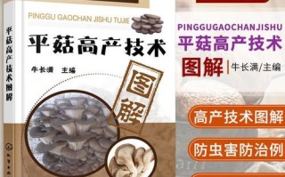 平菇栽培技术_平菇怎么种高产