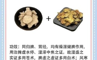 白术的功效与作用是什么_白术适合哪些人群