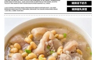 通草猪蹄汤下奶吗_通草猪蹄汤怎么做