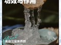 雪燕的功效与作用_雪燕怎么吃效果最好