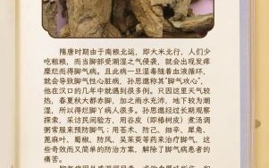 臭椿树的功效与作用_臭椿树能治疗哪些疾病