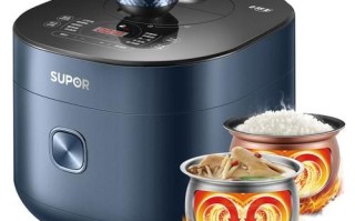 电压力锅哪个牌子好_电压力锅品牌十大排行榜