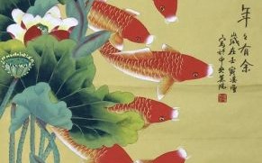 年年有鱼图片大全_如何挑选高清壁纸