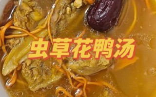 虫草老鸭煲怎么做_虫草老鸭煲要炖多久