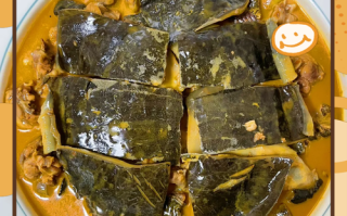 鳖的做法大全_鳖汤怎么炖最补