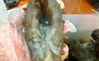 海参变质图片_怎么判断海参坏了