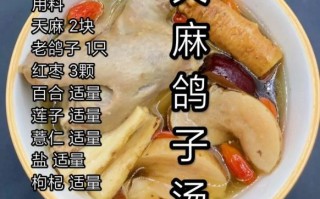 鸽子天麻汤怎么做_天麻炖鸽子汤的功效