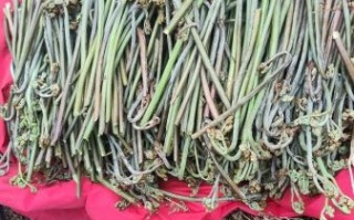 干蕨菜怎么泡发_干蕨菜怎么炒好吃