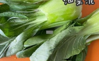 油菜怎么做给宝宝吃_油菜泥辅食做法