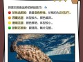 野生石斑鱼多少钱一斤_野生石斑鱼价格表