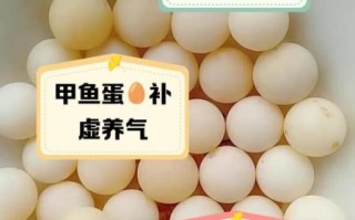 甲鱼蛋小孩子能吃吗_甲鱼蛋适合多大孩子吃