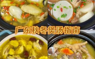 粤式炖汤做法大全_如何炖出老广味