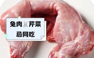 兔肉不能和什么一起吃_吃兔肉的禁忌有哪些