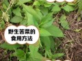 大苦菜图片怎么识别_大苦菜和蒲公英区别