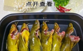 黄颡鱼的功效与作用_黄颡鱼适合什么人吃