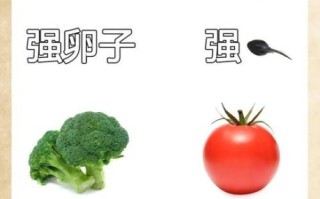 备孕吃什么容易受孕_提高怀孕几率的食物有哪些