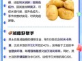 每天吃一个蒸土豆能减肥吗_蒸土豆的功效与作用