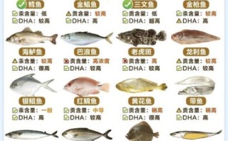 海鲜大全名称有哪些_海鲜大全图片怎么认