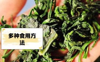 万年青菜干怎么泡发_万年青菜干的营养价值