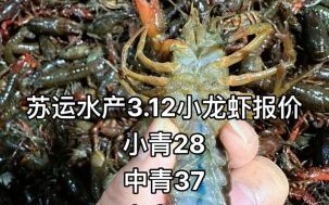 养殖20亩龙虾一年利润多少_成本与收益详细分析