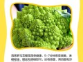 罗马花椰菜怎么种_罗马花椰菜营养价值