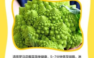 罗马花椰菜怎么种_罗马花椰菜营养价值