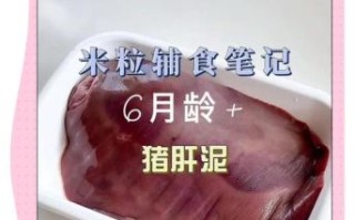 婴儿猪肝泥怎么做_猪肝泥辅食几个月能吃