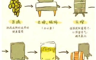 葡萄酒怎么制作_自酿葡萄酒的做法步骤