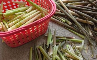 夏天的竹笋可以吃吗_如何挑选新鲜竹笋