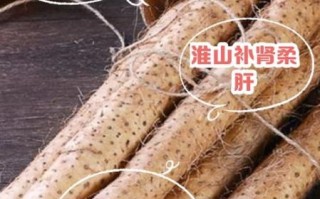 山药的功效与作用及禁忌症_什么人不能吃山药