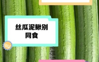 丝瓜和什么一起炒最好吃_丝瓜不能和什么一起吃