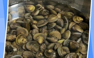 福建沙螺是什么_福建沙螺怎么吃