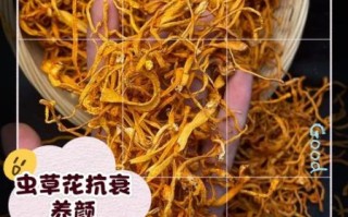 虫草花功效与作用有哪些_虫草花适合什么人吃