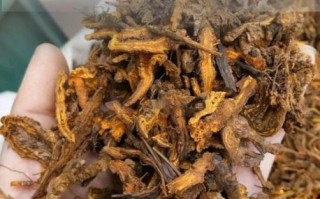 黄连素能降血糖吗_黄连素副作用有哪些