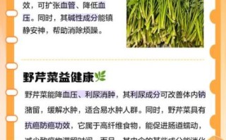 野芹菜图片功效作用_野芹菜怎么吃最健康
