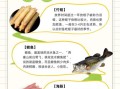 竹蛏的营养价值_竹蛏的功效与作用有哪些