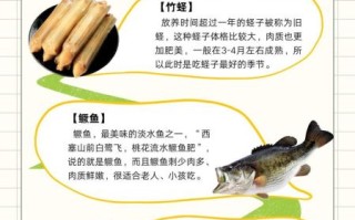 竹蛏的营养价值_竹蛏的功效与作用有哪些