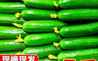 荷兰瓜怎么吃_荷兰瓜可以生吃吗