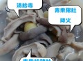 猪肚和什么炖最有营养_孕妇能吃吗