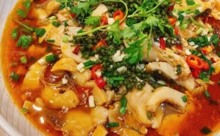 做鱼片用什么鱼最好_哪些鱼适合做水煮鱼片