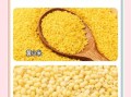 黄米和小米一样吗_黄米与小米的区别