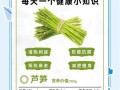 绿芦笋怎么挑选_绿芦笋的营养价值