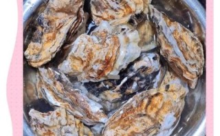 海蛎子怎么煮_海蛎子煮多久才熟