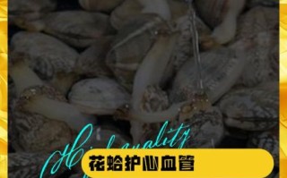 蛤蜊的营养价值及功效_吃蛤蜊有什么好处