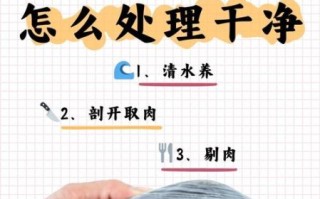 河蚌怎么吃_河蚌怎么处理干净