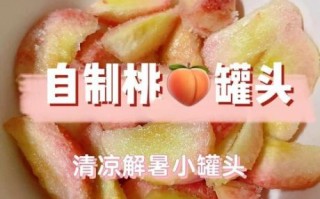 桃罐头怎么做_家庭自制桃罐头步骤