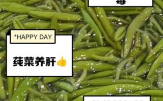 莼菜怎么吃最营养_莼菜的功效与作用有哪些