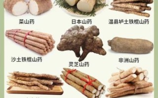 铁棍山药的功效与作用禁忌_哪些人不能吃